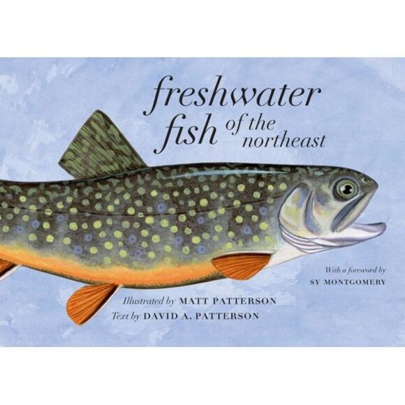 Matt Patterson | Other | Freshwater Fish Of The Northeast Matt ...